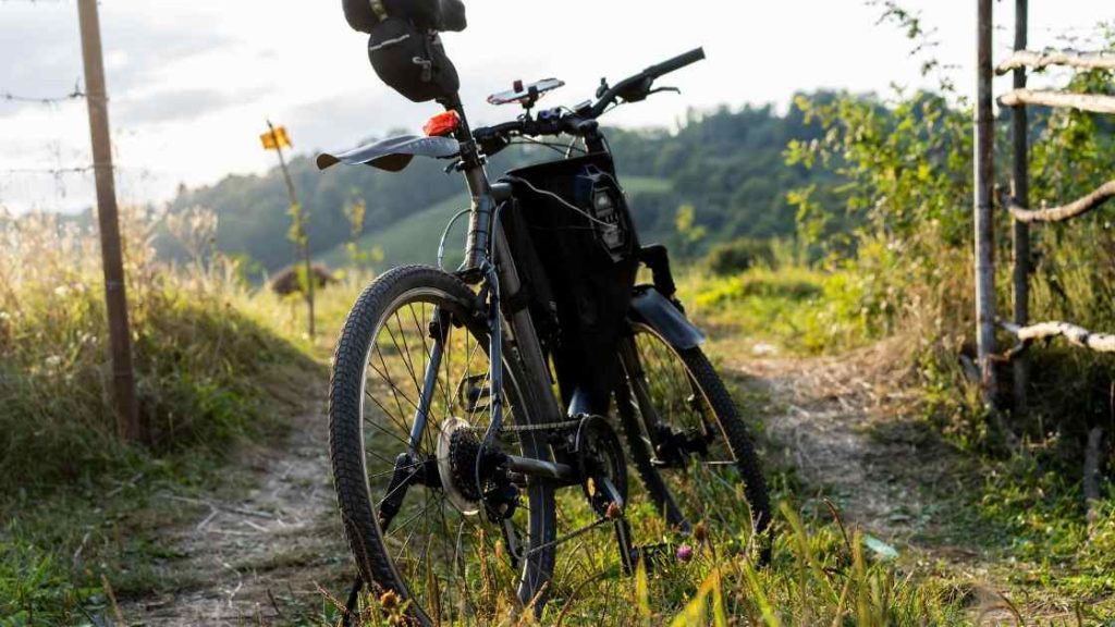 Top Speakers for Bikes: A Guide on Choosing the Right Speaker ...